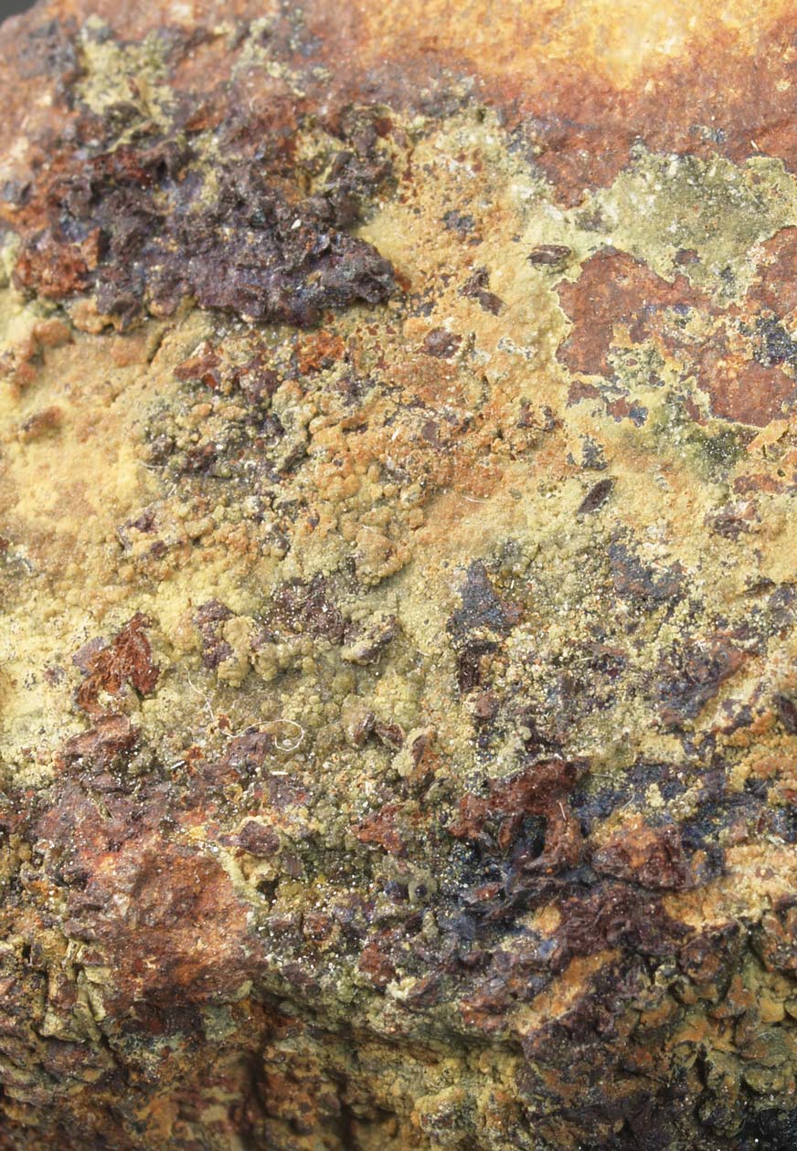 Rosell Minerals